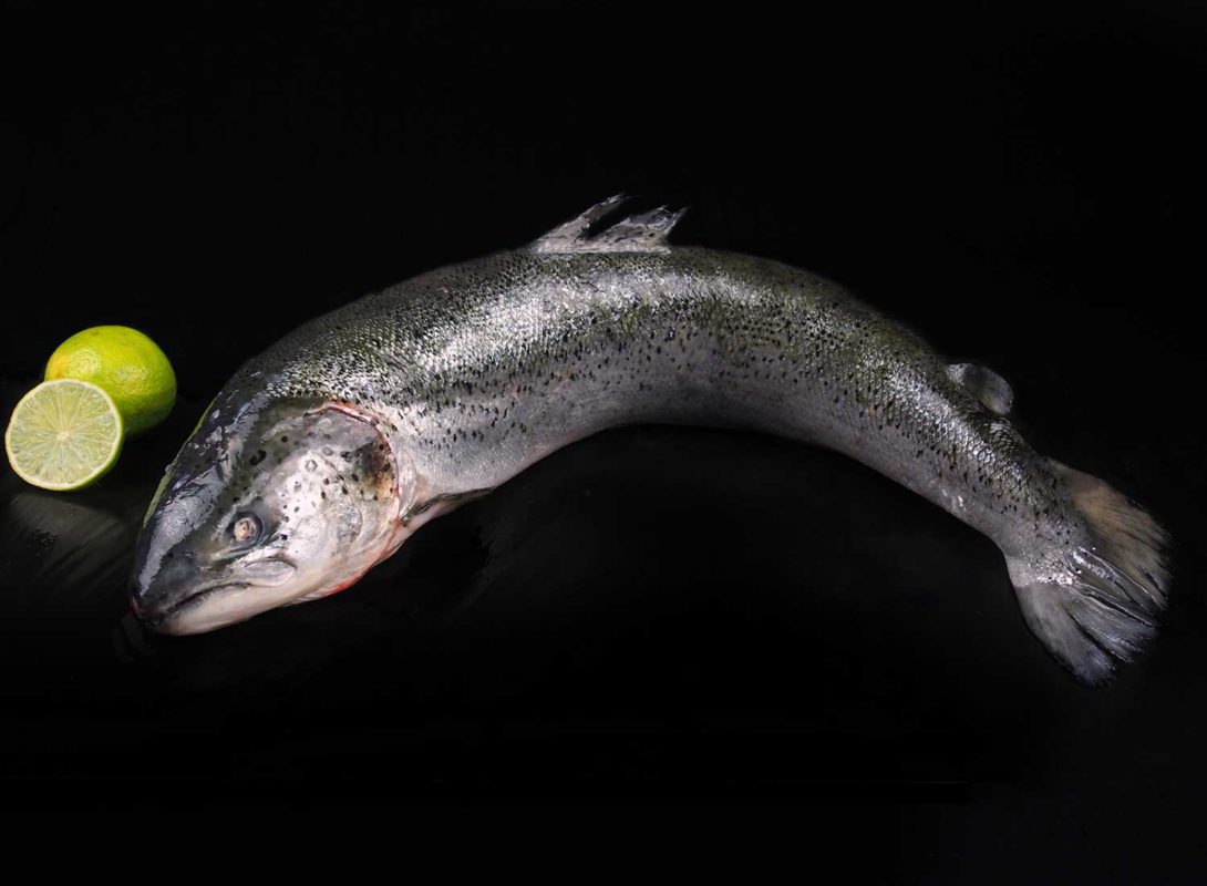 Salmó – ventsetmarees.com