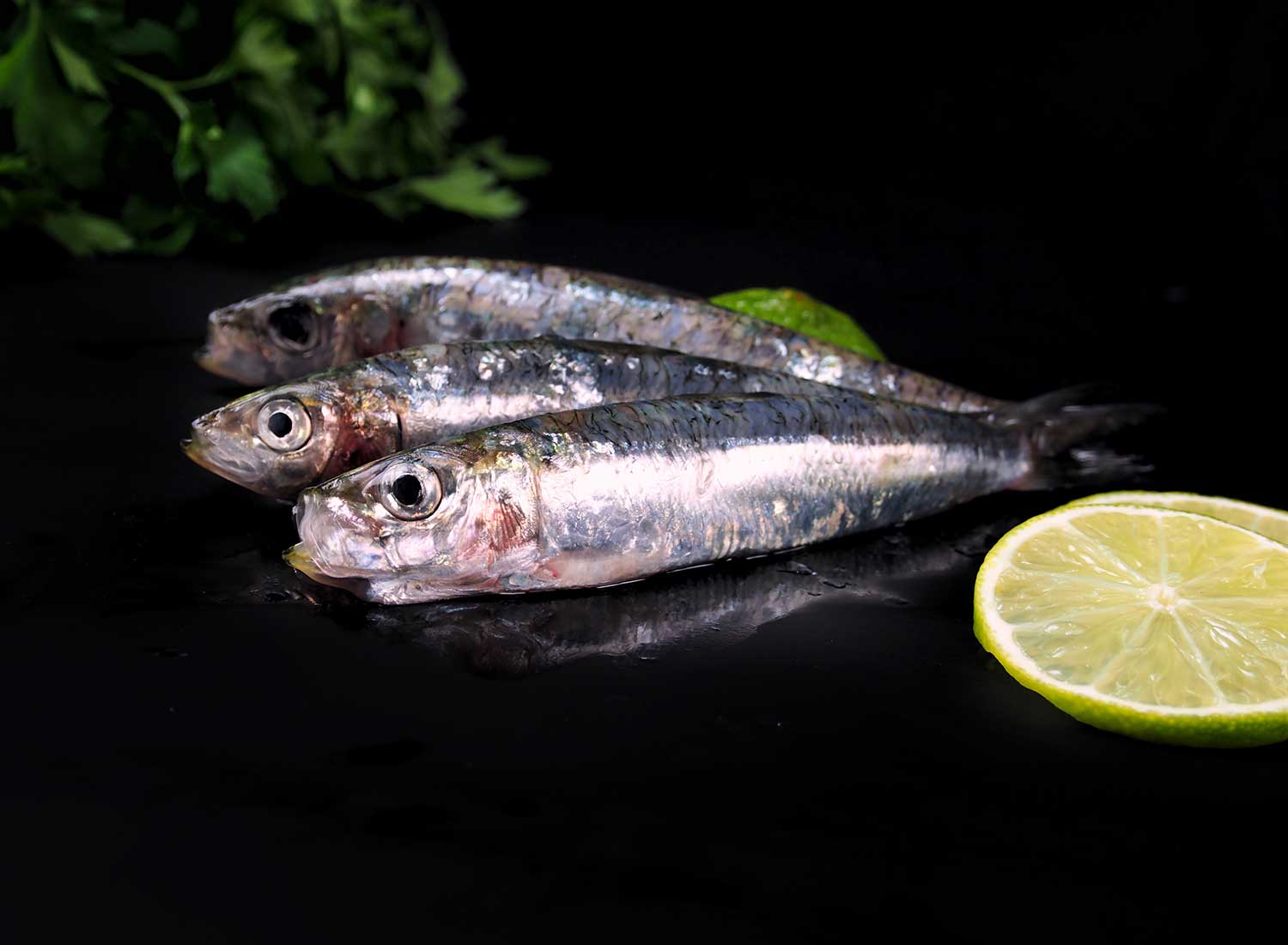 Sardina - ventsetmarees.com